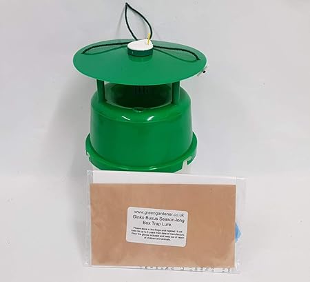 Green Gardener Box Tree Moth Trap with SEASON LONG Buxus Lure (1 ...