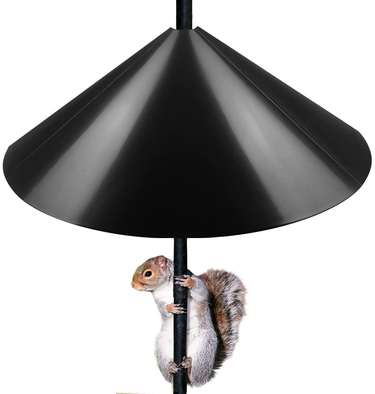 Queension Squirrel Proof Baffle, 19-inch Wide Squirrel Guard Stopper ...