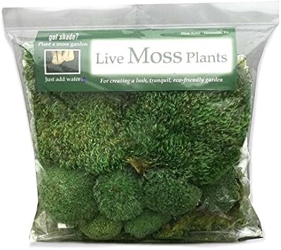 Moss Garden Pack: Amazon.co.uk: Garden & Outdoors