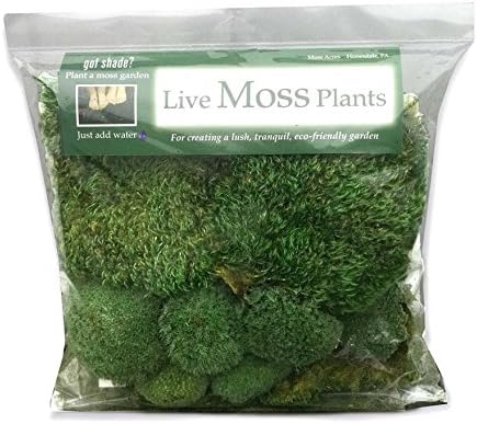 Moss Garden Pack: Amazon.co.uk: Garden & Outdoors
