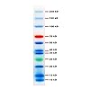 ProSignal® Full-Range Prestained Protein Ladder, 3 Color, 10 to 250 kDa ...