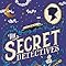 Secret Detectives: Risbridger Ella: 9781788006002: Amazon.com: Books