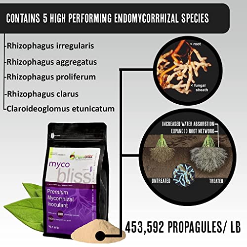Myco Bliss - Mycorrhizal Inoculant for Plants - 5 Superior Strains ...