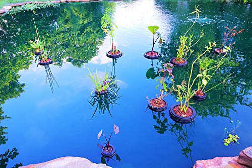 Floating Pond Planter Container Set of X5 - Strong Long Lasting - for ...