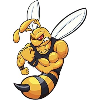 Amazon.com: Divine Designs Angry Buff Killer Bee Cartoon Vinyl Decal ...