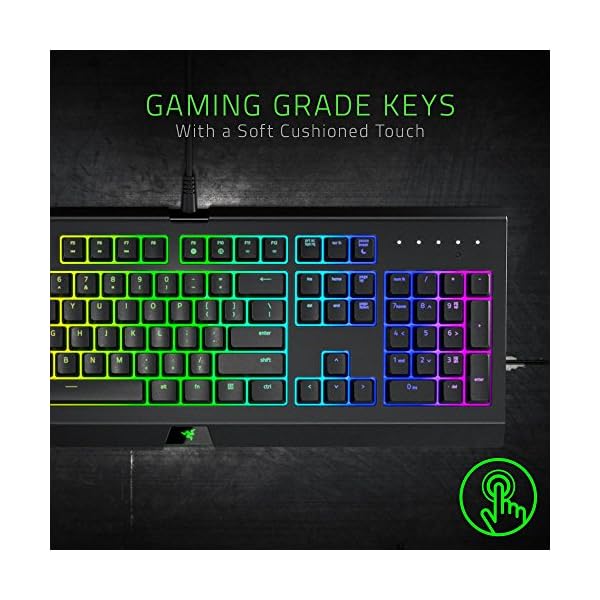 Razer Cynosa Chroma - Multi-color RGB Gaming keyboard - Individually ...