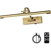 Joossnwell Wireless Picture Light Battery Operated with Remote LED Art ...