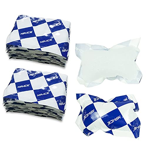 Dry Ice Pack for Shipping Frozen Food - Reusable Ice Packs for Cooler ...
