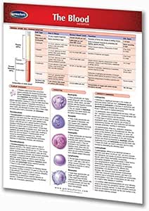 Amazon.com : The Blood - Human Blood Guide - Medical Quick Reference ...