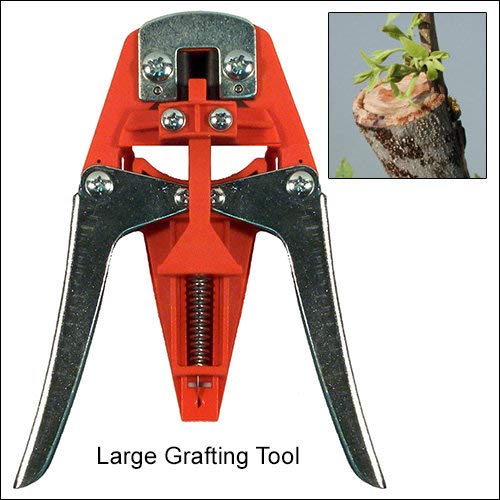 Kings County Tools Italian Large Fruit Tree Grafting Tool Set | V-Graft ...