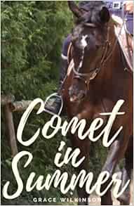 Comet in Summer: Wilkinson, Grace: 9781546476177: Amazon.com: Books