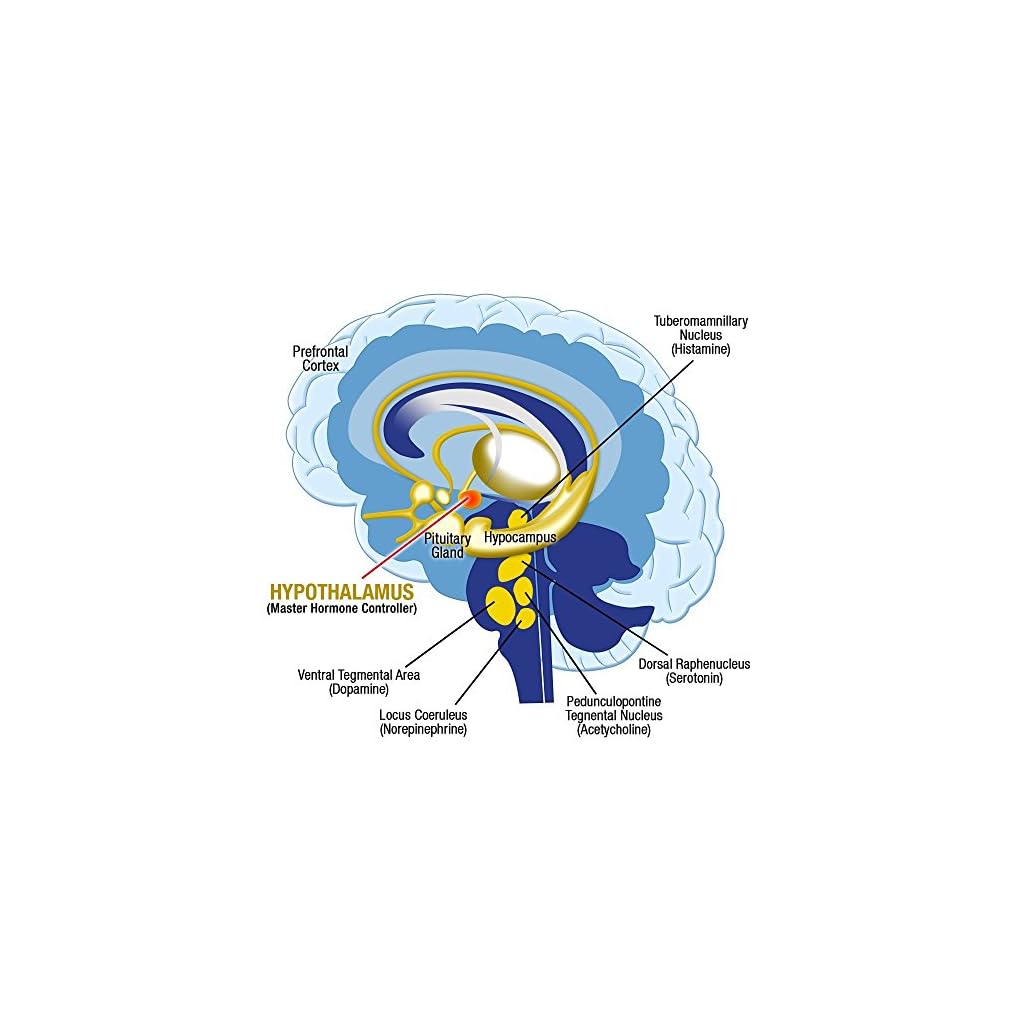 HCF Happy, Calm & Focused: Boost Brain Power & Mood