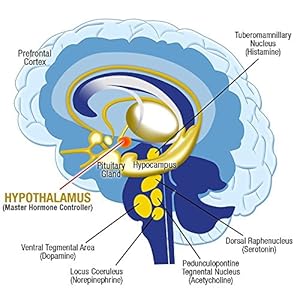 HCF Happy, Calm & Focused: Boost Brain Power & Mood