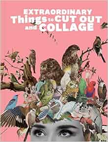 Amazon.com: Extraordinary Things to Cut Out and Collage (9781786274946 ...