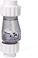 Amazon.com : XtremepowerUS Swimming Pool Pump Spring Check Valve Inline ...