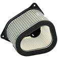 Amazon.com: Hiflofiltro HFA3906 Premium OE Replacement Air Filter ...