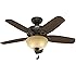 Hunter 53082 The Beacon Hill 42-Inch Ceiling Fan with Five Walnut ...