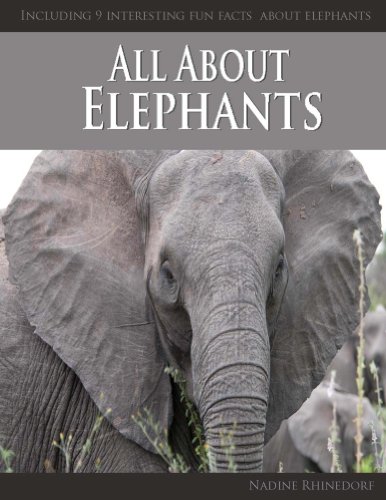 All About Elephants | Pricepulse