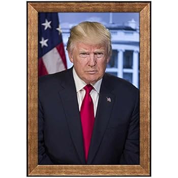 Amazon.com: President Donald Trump Presidential Portrait 8x10 Silver ...