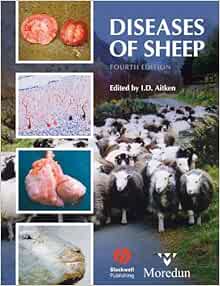 Diseases of Sheep: 9781405134149: Medicine & Health Science Books ...