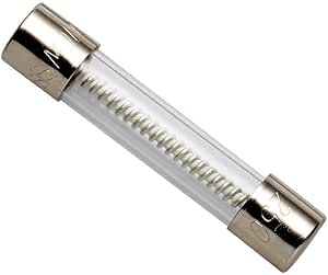 RadioShack 1.5A 250V 1¼ × ¼" Slow-Blow Glass Fuses (4-Pack ...