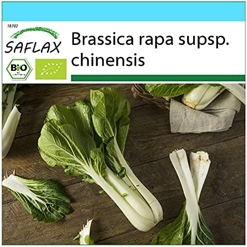 Gift Set - Organic - Chinese Mustard Cabbage - Pak Choi - 300 Seeds ...
