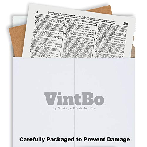 Captain Cat Reproduction Vintage dictionary Art Print Poster, Super ...