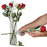 Rose Thorn Stripper - The Green Head