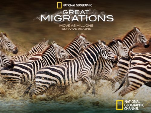 Watch Great Migrations Season 1 | Prime Video