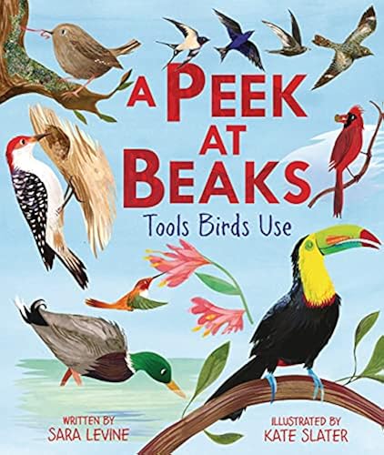 A Peek at Beaks: Tools Birds Use in Kuwait | Whizz Birds
