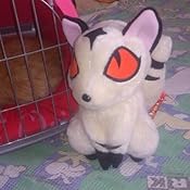 Amazon.com: Great Eastern Inuyasha: Kirara/ Kilala Cat 9" Plush Doll ...