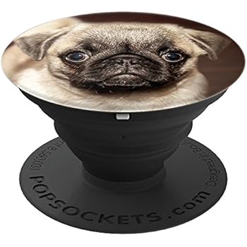 Amazon.com: Pug Pop Socket - Cute Pug Puppy - PopSockets Grip and Stand ...