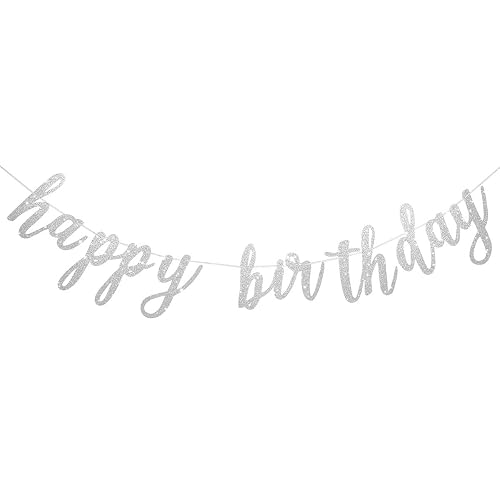 Silver Birthday Party Decorations - Silver Happy Birthday Banner for ...