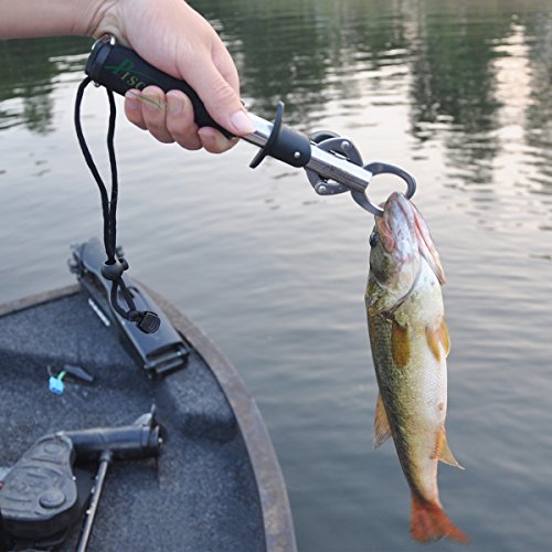 Piscifun Fish Lip Gripper Professional Fish Holder Stainless Steel Fish ...
