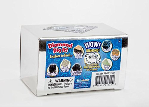 Diamond Dig It Blind Mystery Box NEW | eBay