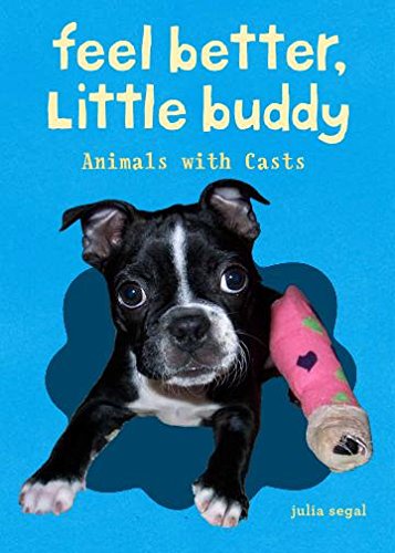 Feel Better, Little Buddy: Animals with Casts: Segal, Julia ...