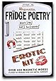 Fridge Poetry - Magnetic Words ¦ Original Kit - Novelty Words Gift ...