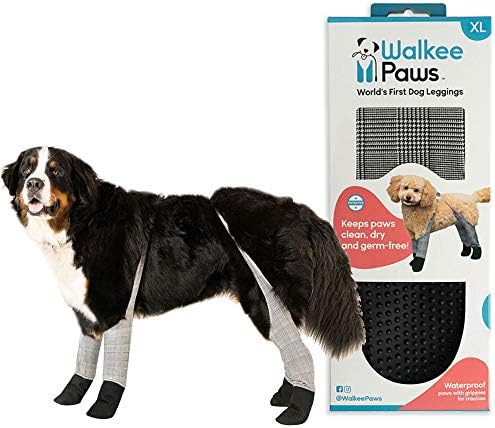 Walkee Paws Dog Leggings, The World’s First Dog Leggings That are Dog ...