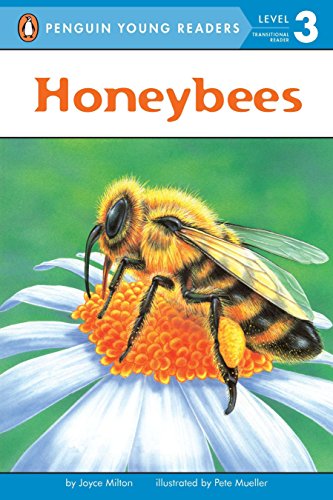 Our Favorite Nonfiction Books About Bees for Kids