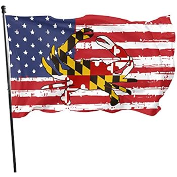 Amazon.com : Maryland 3x5 ft Flag Crossland Banner : Garden & Outdoor