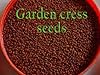 1 kg HALIM Aliv GARDEN CRESS SEEDS Lepidium Sativum Ayurveda in Bahrain ...