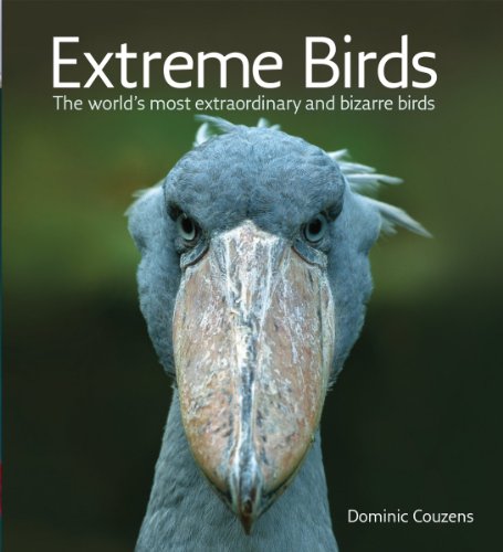 Extreme Birds: The World's Most Extraordinary and Bizarre Birds ...
