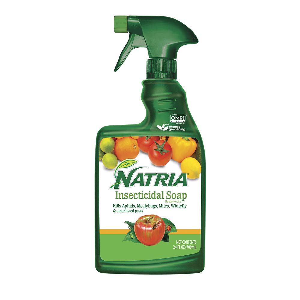 Mua Natria 706230A Insecticidal Soap Insect Killer and Miticide for ...