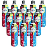 Liquid Kleen-Flo 313R Brake & Parts Kleen Brake Cleaner Brake Cleaner ...