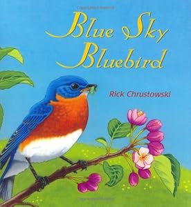 Blue Sky Bluebird book by Rick Chrustowski