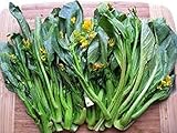 Choy sum - How to grow plants