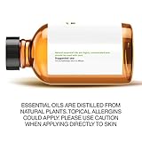 8 Best Essential Oils for Disinfecting and Cleaning | Backdoor Survival