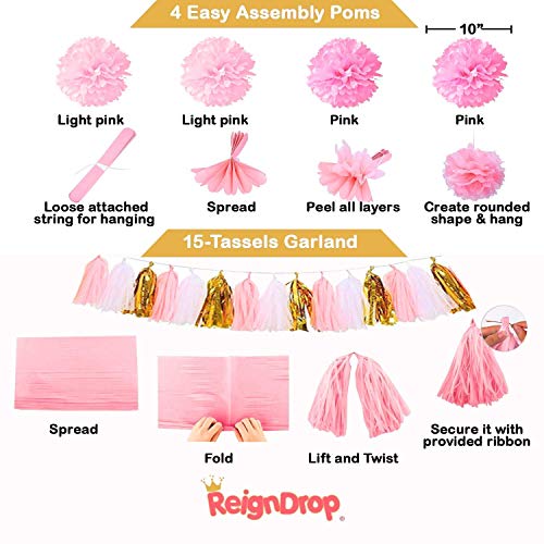 ReignDrop Baby Girl 1st Birthday Decorations Set – First Birthday Party ...
