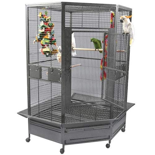 12 Best Bird Cages for Sale - Reviews & Buying Guide (2019)