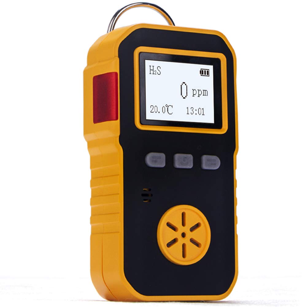 Mua Bosean Hydrogen Sulfide Detector, H2S Detector, Gas Leak Detection ...